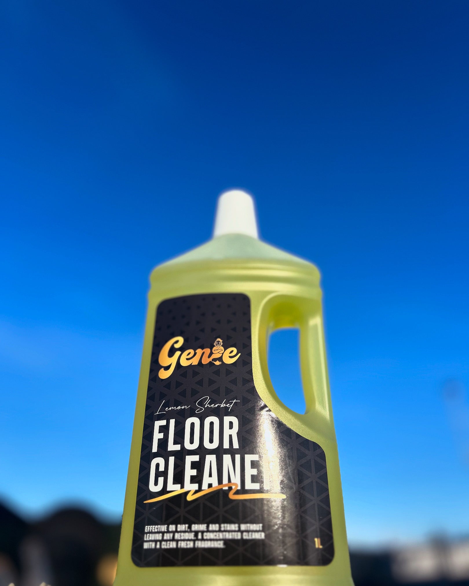 genie-clean.co.uk